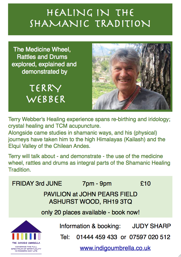 Terry Webber poster 1 screen shot – Indigo Umbrella