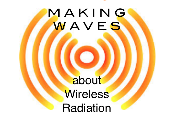 Making Waves logo screen shot – Indigo Umbrella